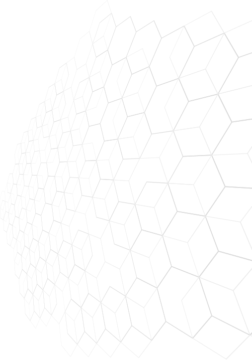 Sinco Software - DLP Systems